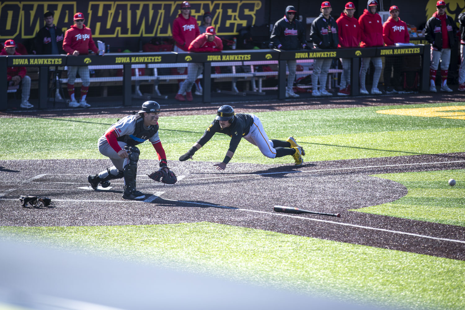 Photos: Iowa baseball defeats Maryland - The Daily Iowan